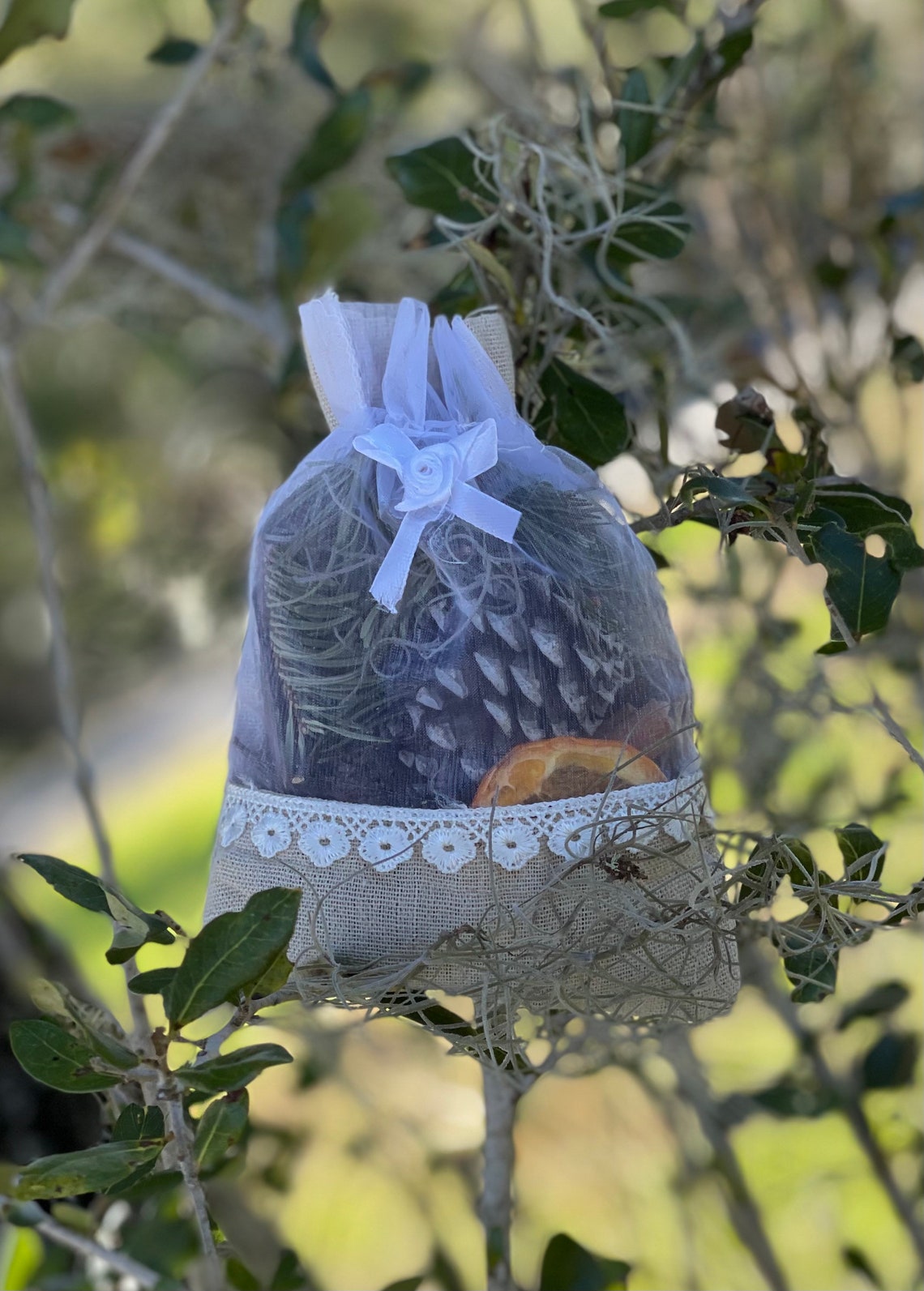 Woodland Spice Potpourri | Foraged Primitive Blend | Sachet Potpourri ...