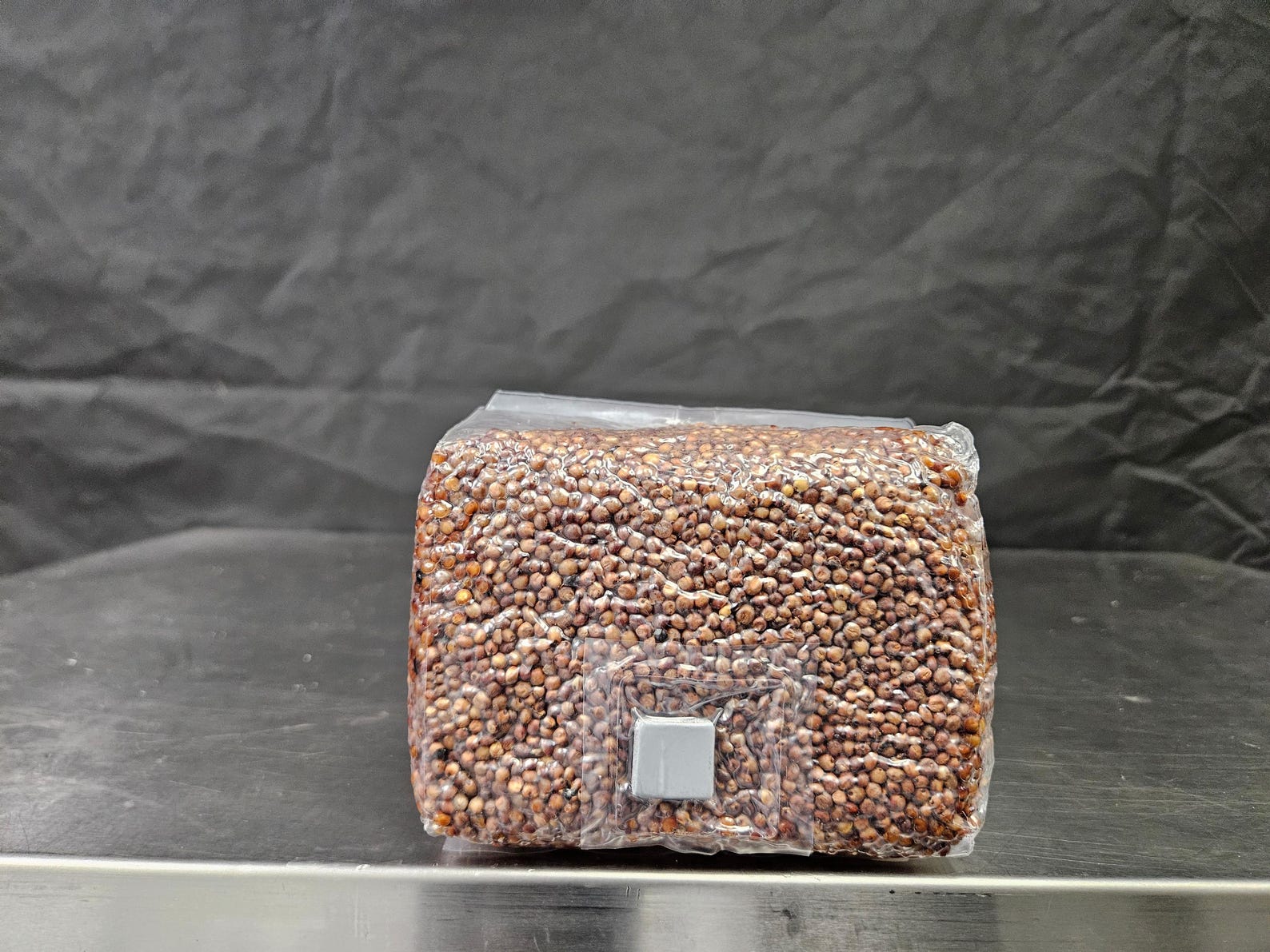 3lb Mushroom Milo Sorghum | Sterile Grain for Mushrooms - Etsy