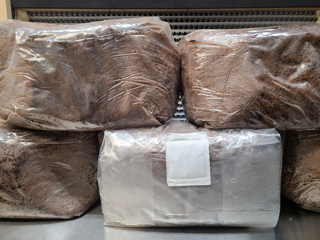 25lb Pack of 5lb Hardwood Sawdust | Substrate Bags for Mushrooms - Etsy