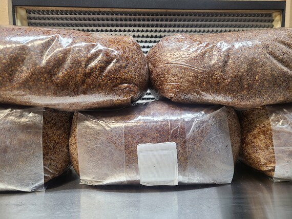 25lb Pack of 5lb Millet Sterile Grain Bags for Mushrooms - Etsy