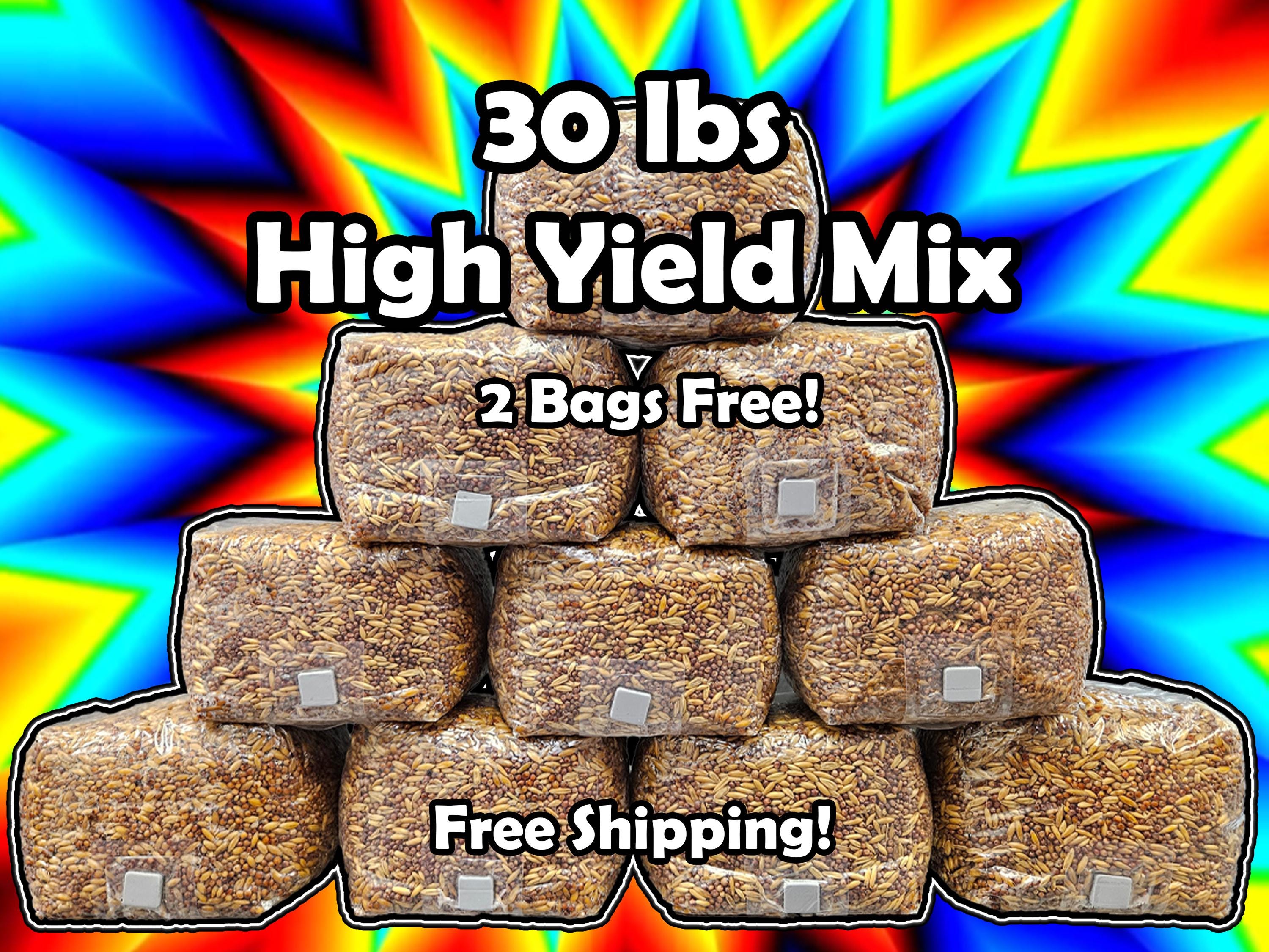Ten 3lb Sterilized Custom Grain Mix Bags | High Yield Grain for ...
