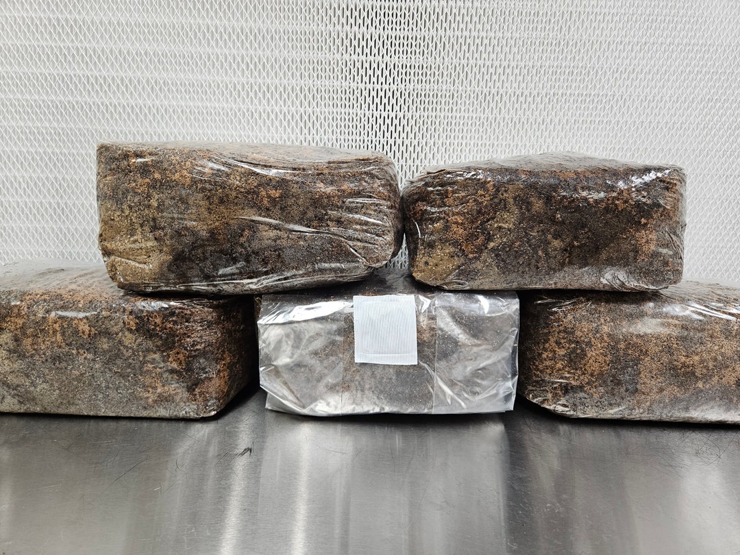 25lb Pack of 5lb Masters Mix Substrate Bags for Mushrooms - Etsy