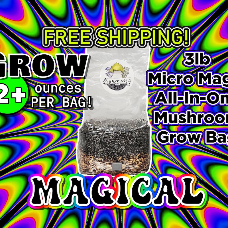 Spores for Magic Mushrooms - Etsy