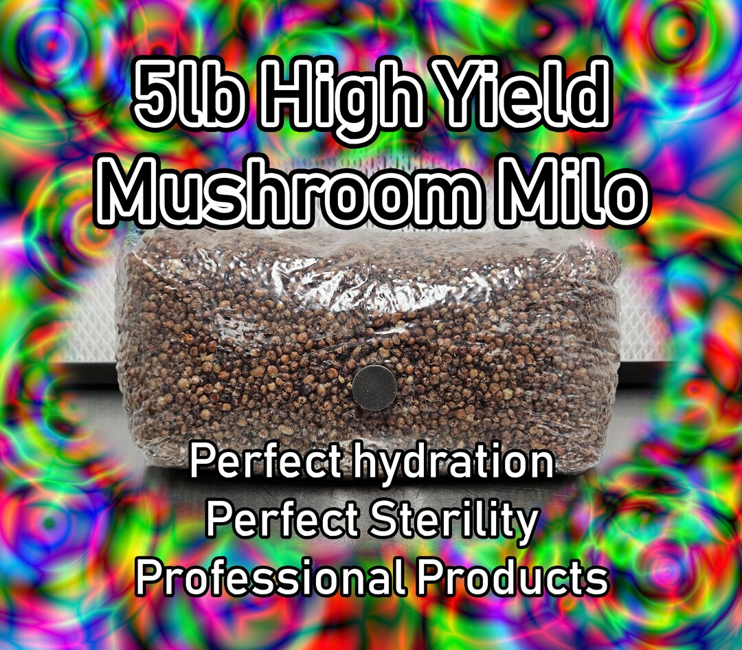 5lb Mushroom Milo Sorghum Sterile Grain for Mushrooms - Etsy