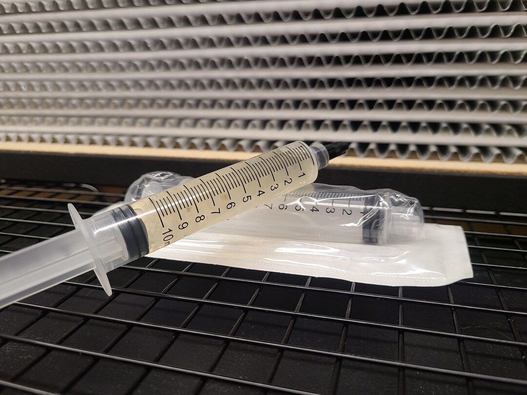 10ml Gourmet Mushroom Liquid Culture Syringe - Etsy