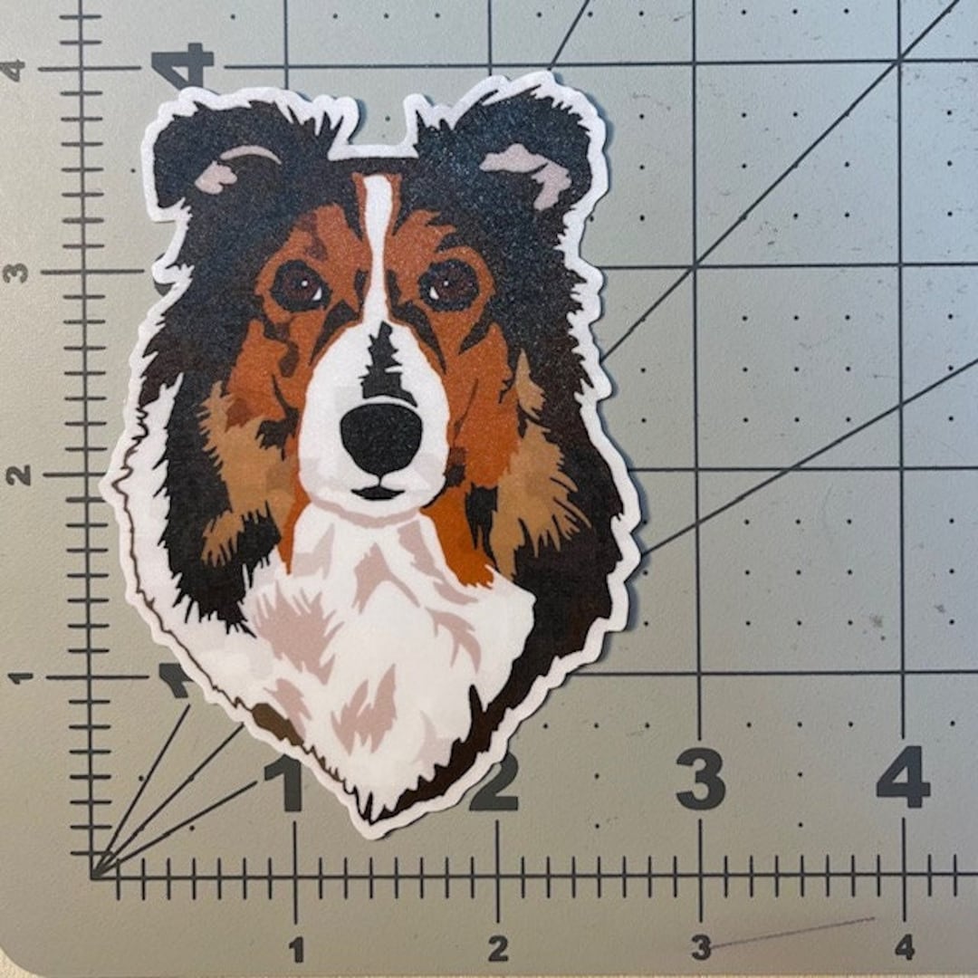 Realistic Illustrated Sheltie Sticker, Sheltie Decal, Shetland Sheepdog ...