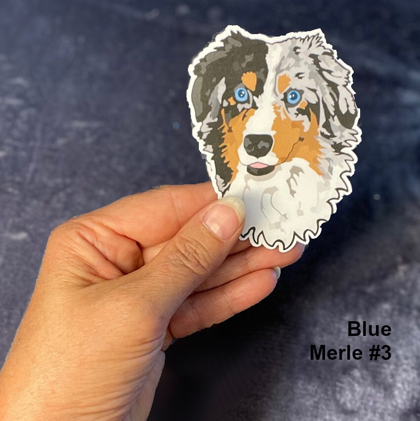 Blue Merle Australian Shepard Sticker, Realistic Australian Shepard ...