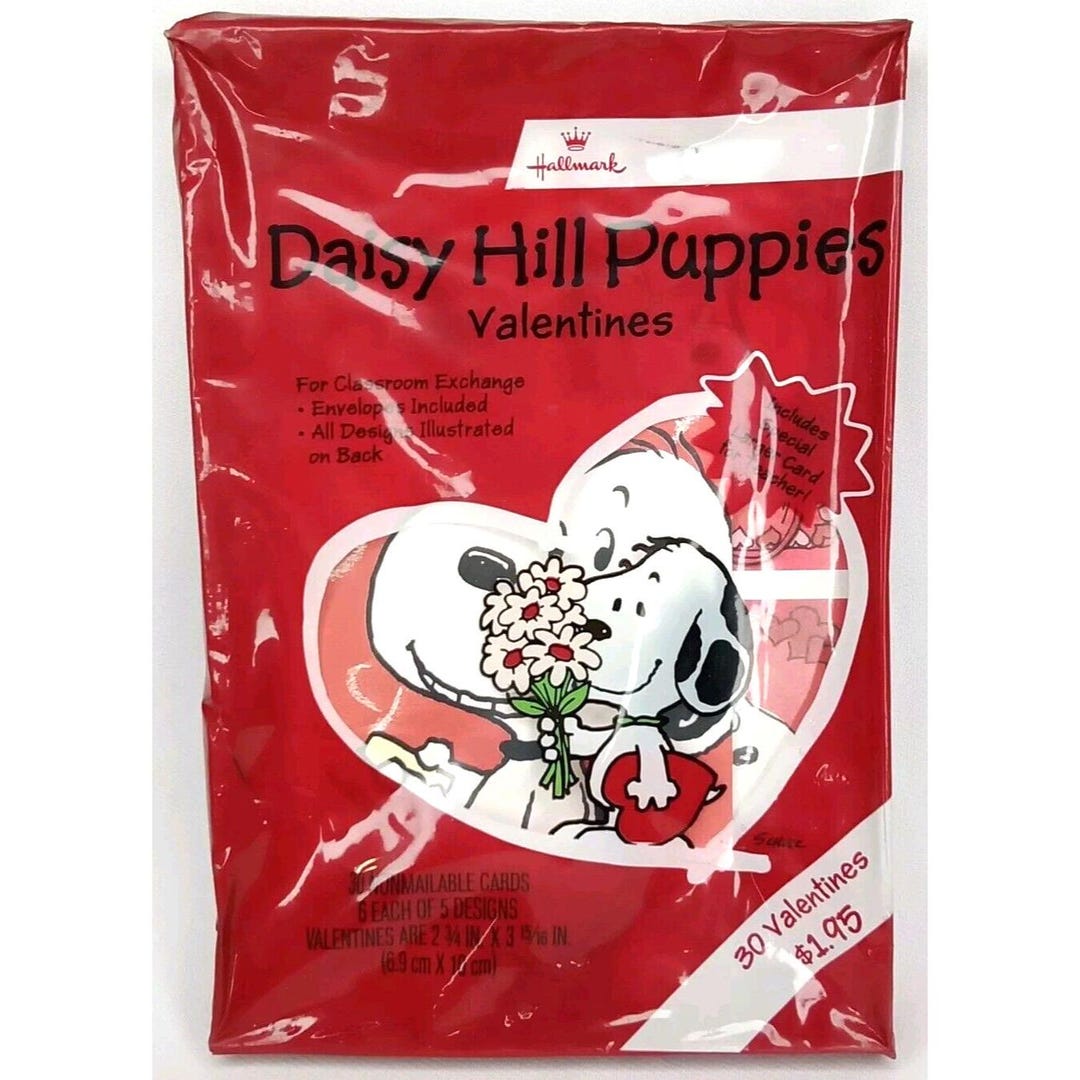 Vintage Valentine Snoopy Daisy Hill Puppies Set of 30 Hallmark Sealed ...