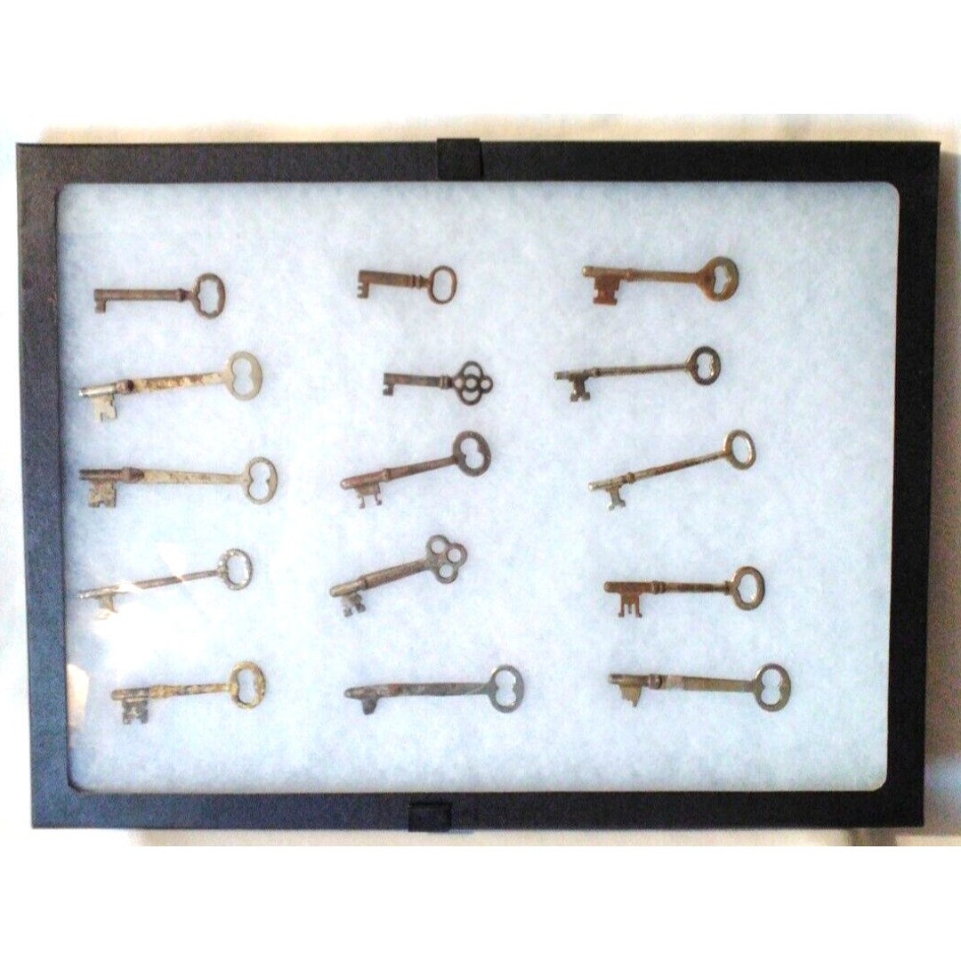 Skeleton Key Lot of 15 With Case Solid Antique Pass Keys Victorian ...