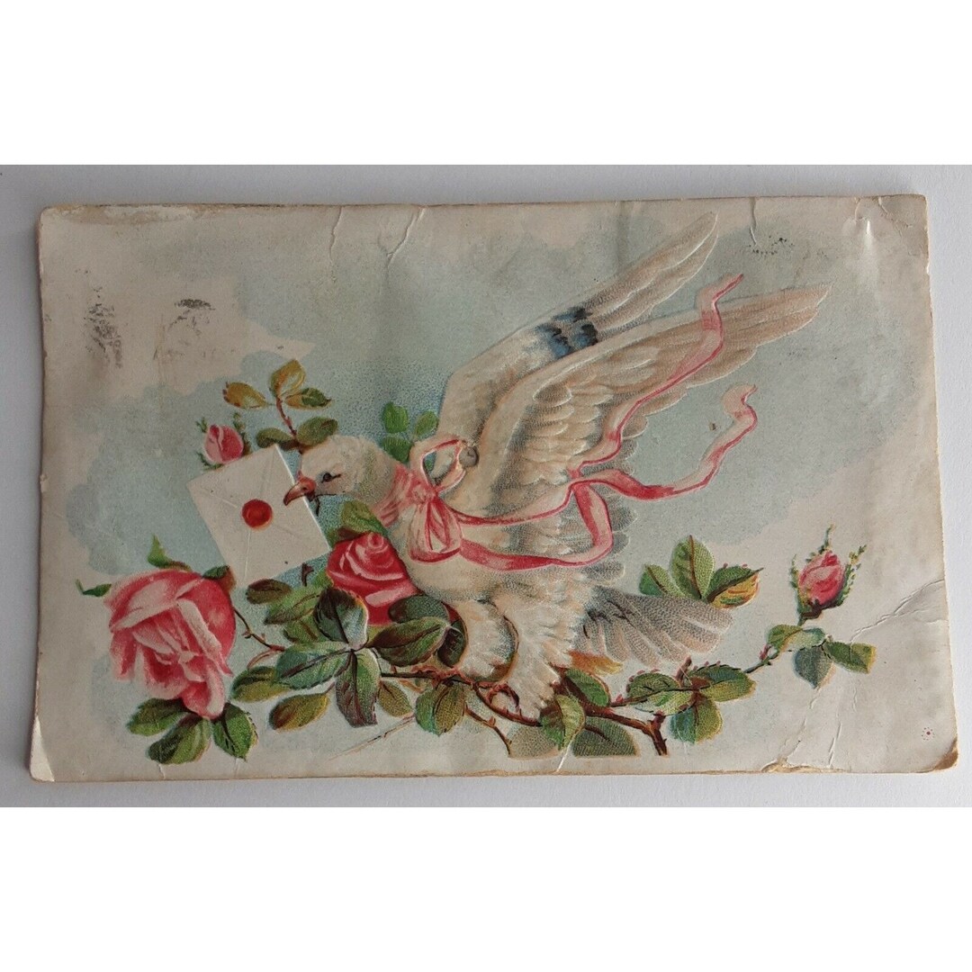 Valentine Post Card White Carrier Pigeon Delivering Mail - Etsy