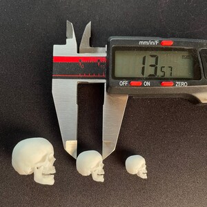 Miniature Skull Set of 4 Human Mini Skulls - Etsy