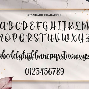 Wonderful September Script Font - Wedding Font, SVG Font, Cursive Font ...
