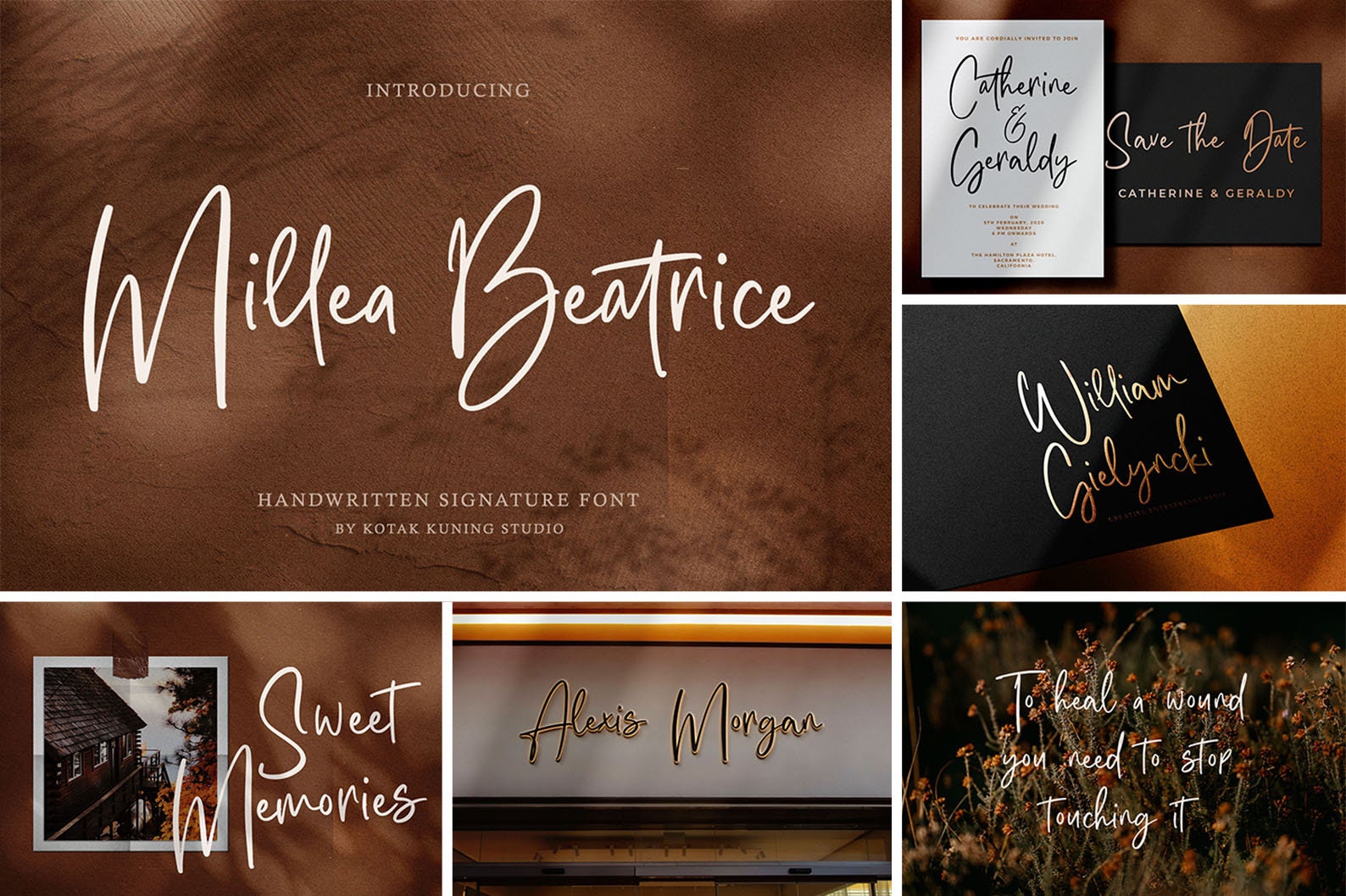 Signature Font Bundle, Calligraphy Font Bundle, Wedding Font Bundle, Handwritten Fonts, Script ...