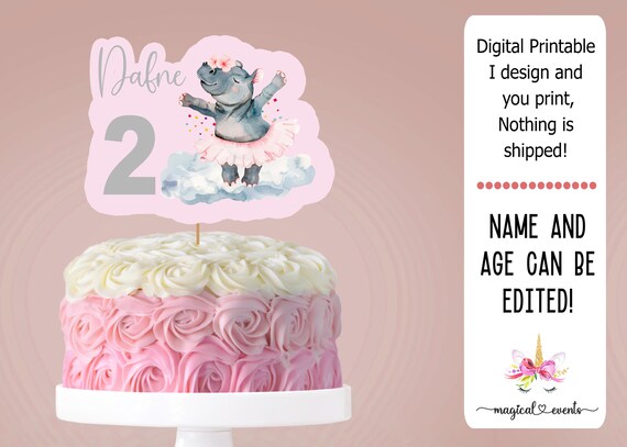 Cartoon Hippo Birthday Supplies Cute Hippo Birthday Party Supplies ...