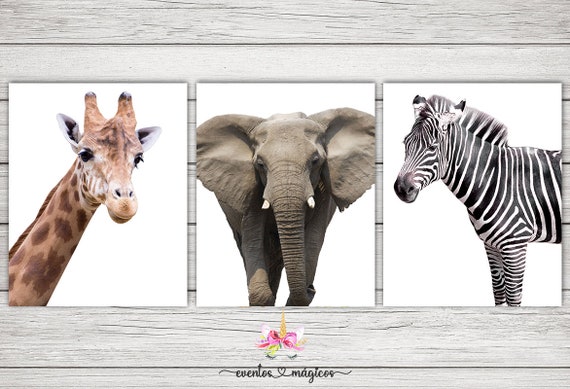 Safari Animals Wall Art Jungle Animals Boy Wall Decor | Etsy