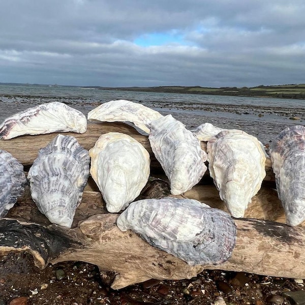 Seashell Wedding Dish - Etsy UK