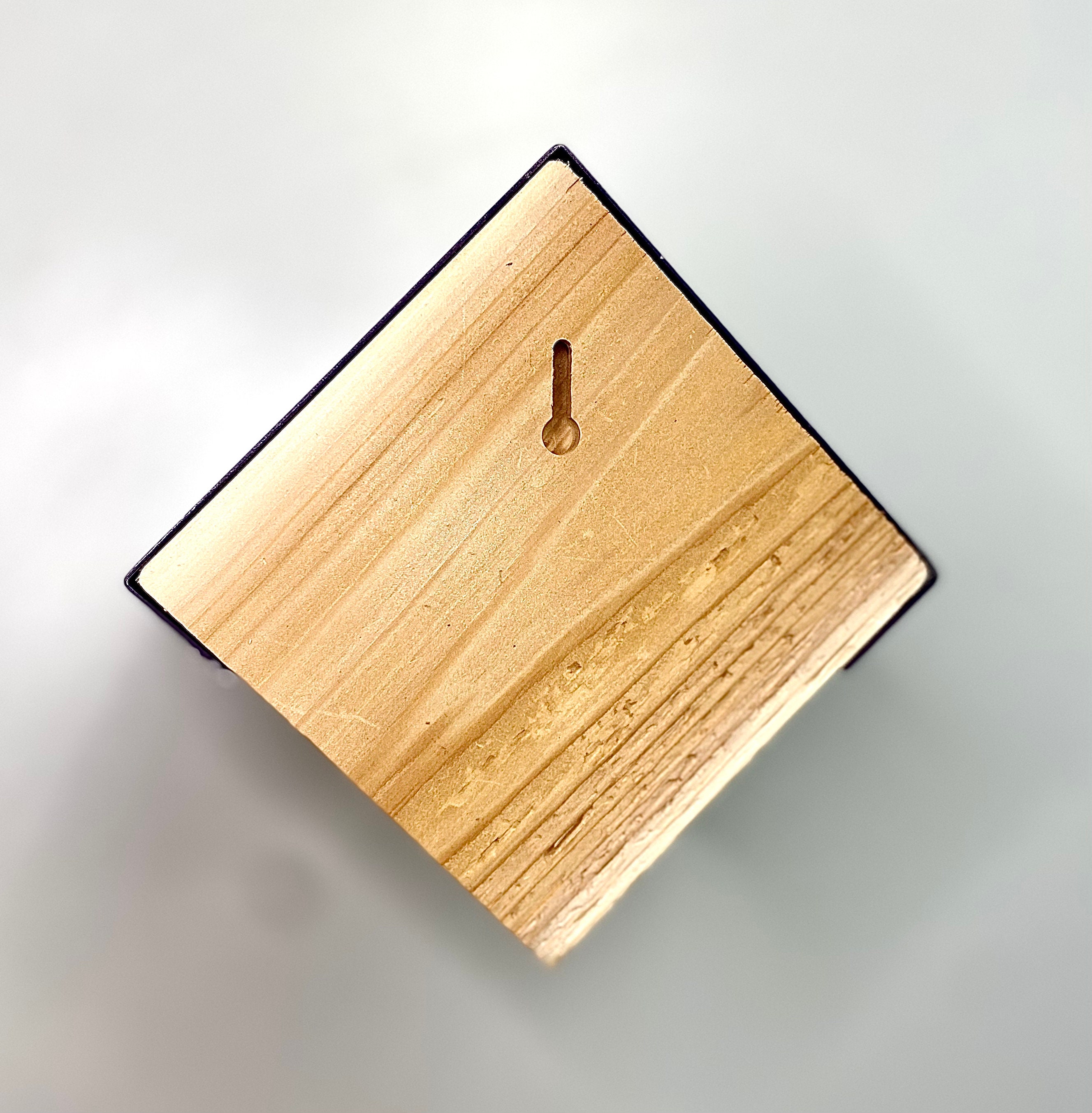 Native Bee Home - Etsy