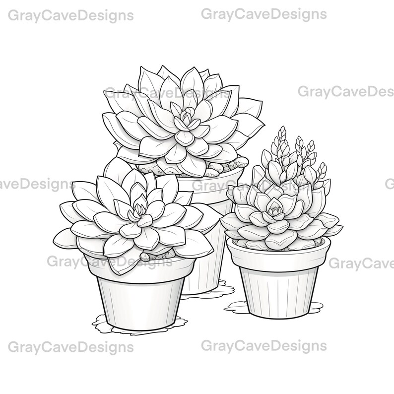 20 Printable Colouring Pages - Succulents, Printable Colouring Book ...