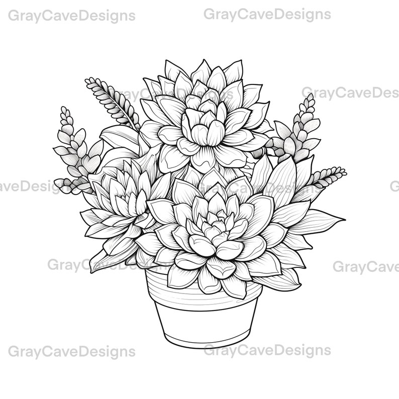 20 Printable Colouring Pages - Succulents, Printable Colouring Book ...