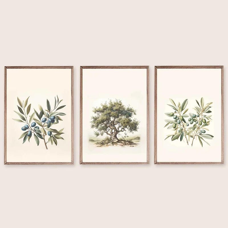 Olive Tree - Etsy