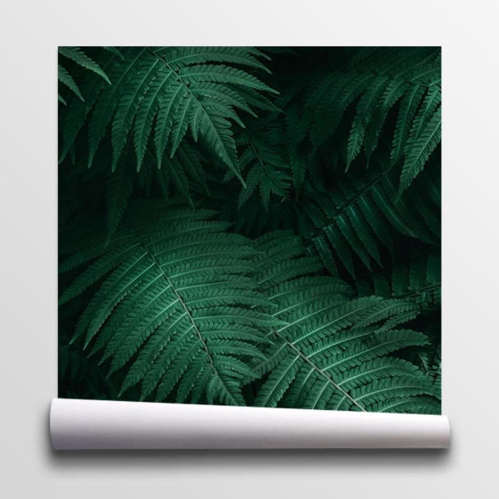 Nature Wallpaper | Dark Green, Fern Leaves, Forest | Botanical Print ...
