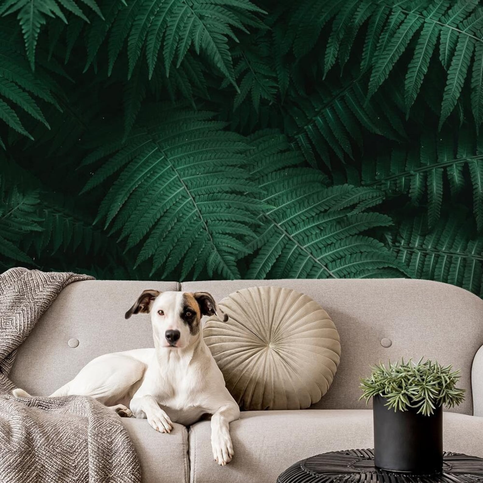 Nature Wallpaper | Dark Green, Fern Leaves, Forest | Botanical Print ...