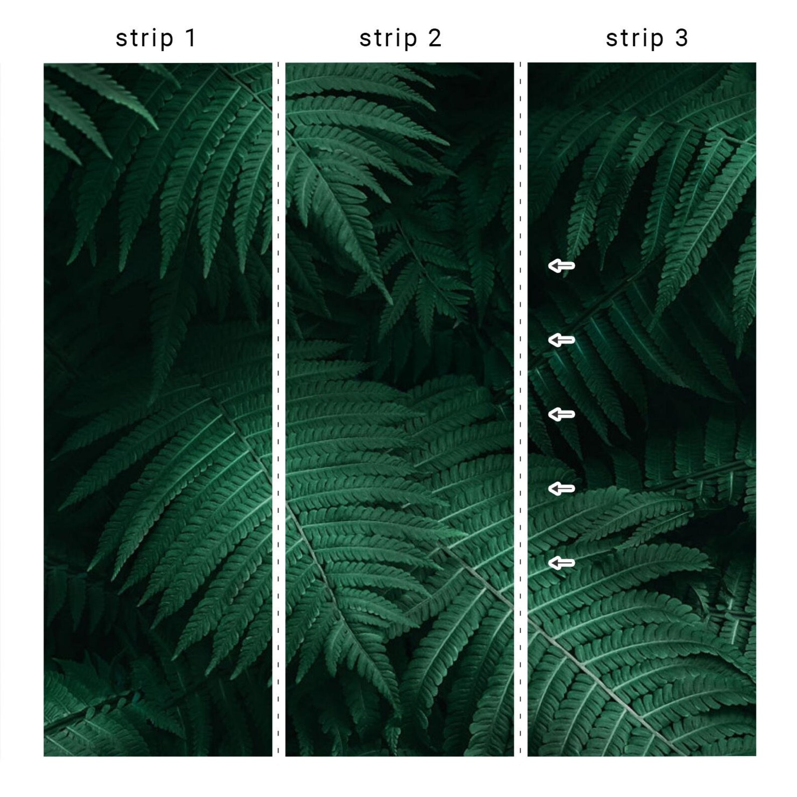 Nature Wallpaper | Dark Green, Fern Leaves, Forest | Botanical Print ...