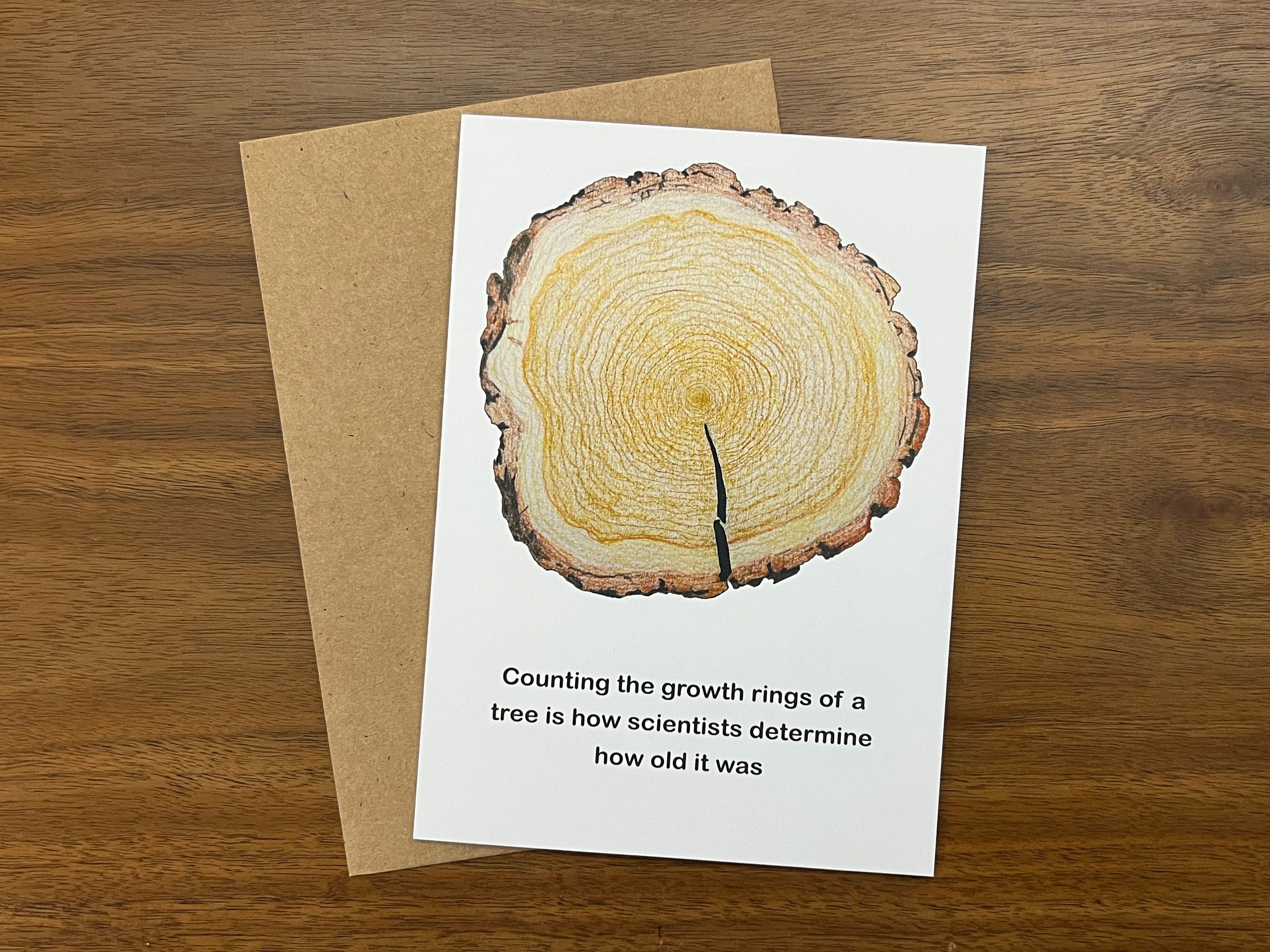 Tree Ring Birthday Card - Etsy