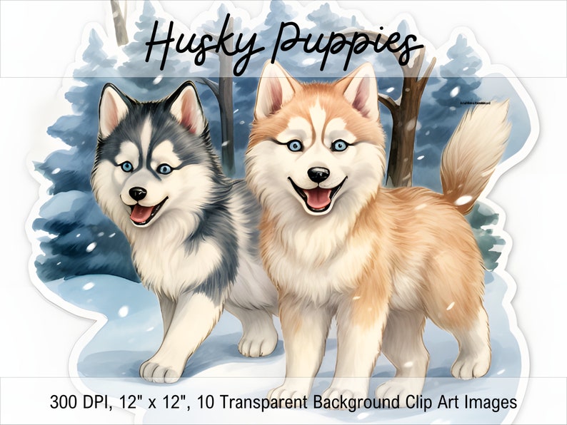 Husky Puppies Clip Art, Digital Downloads, 10 Images With Transparent ...