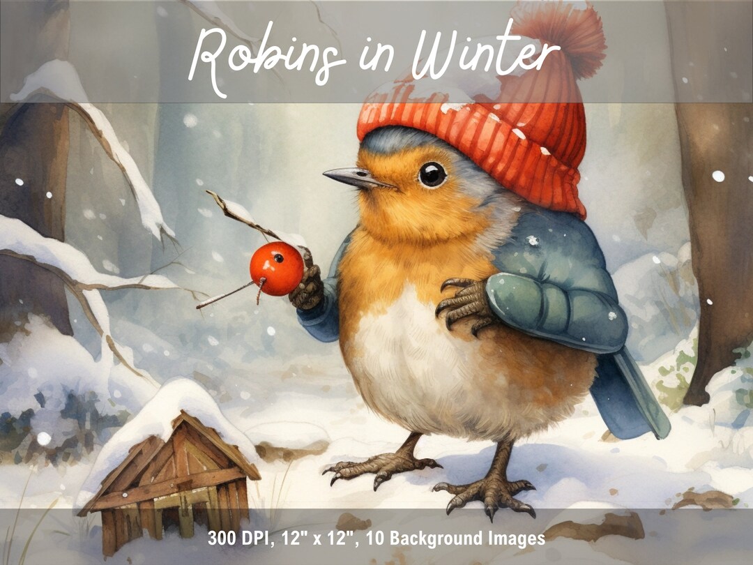 Robins in Winter Backgrounds, 10 Background Images, Digital Download ...