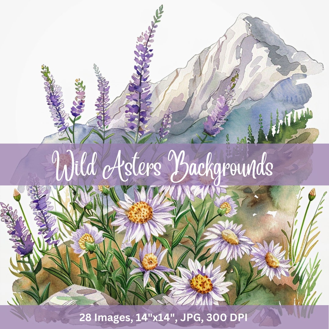 Wild Asters Background Papers: Floral Mountain Clip Art (digital ...