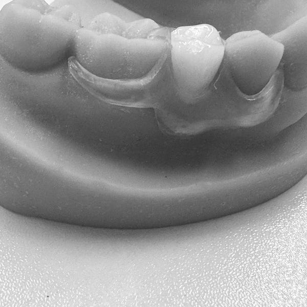 Flipper Tooth - Etsy