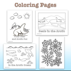 40-page Arctic Unit Study Activity Printable Pack, Busy Book, Arctic ...