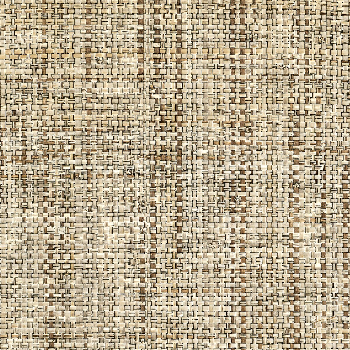 Raffia Woven Grasscloth Wallpaper - Traditional Wallpaper - Etsy