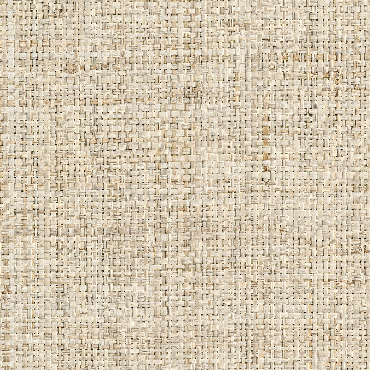 Raffia Woven Grasscloth Wallpaper - Traditional Wallpaper - Etsy