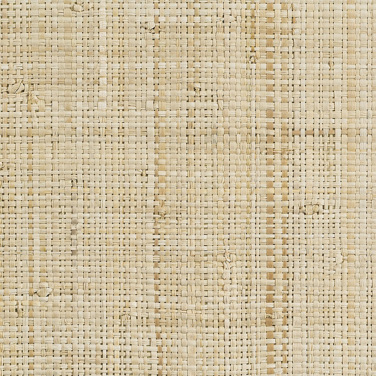 Raffia Woven Grasscloth Wallpaper - Traditional Wallpaper - Etsy