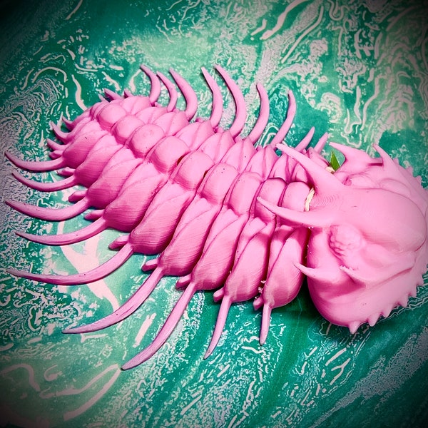 3d Prints Trilobite - Etsy