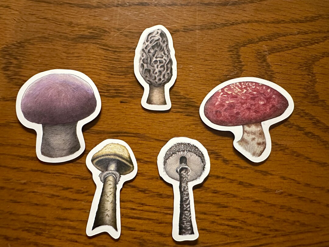 Mushroom Magnets Series 1 - Etsy Australia