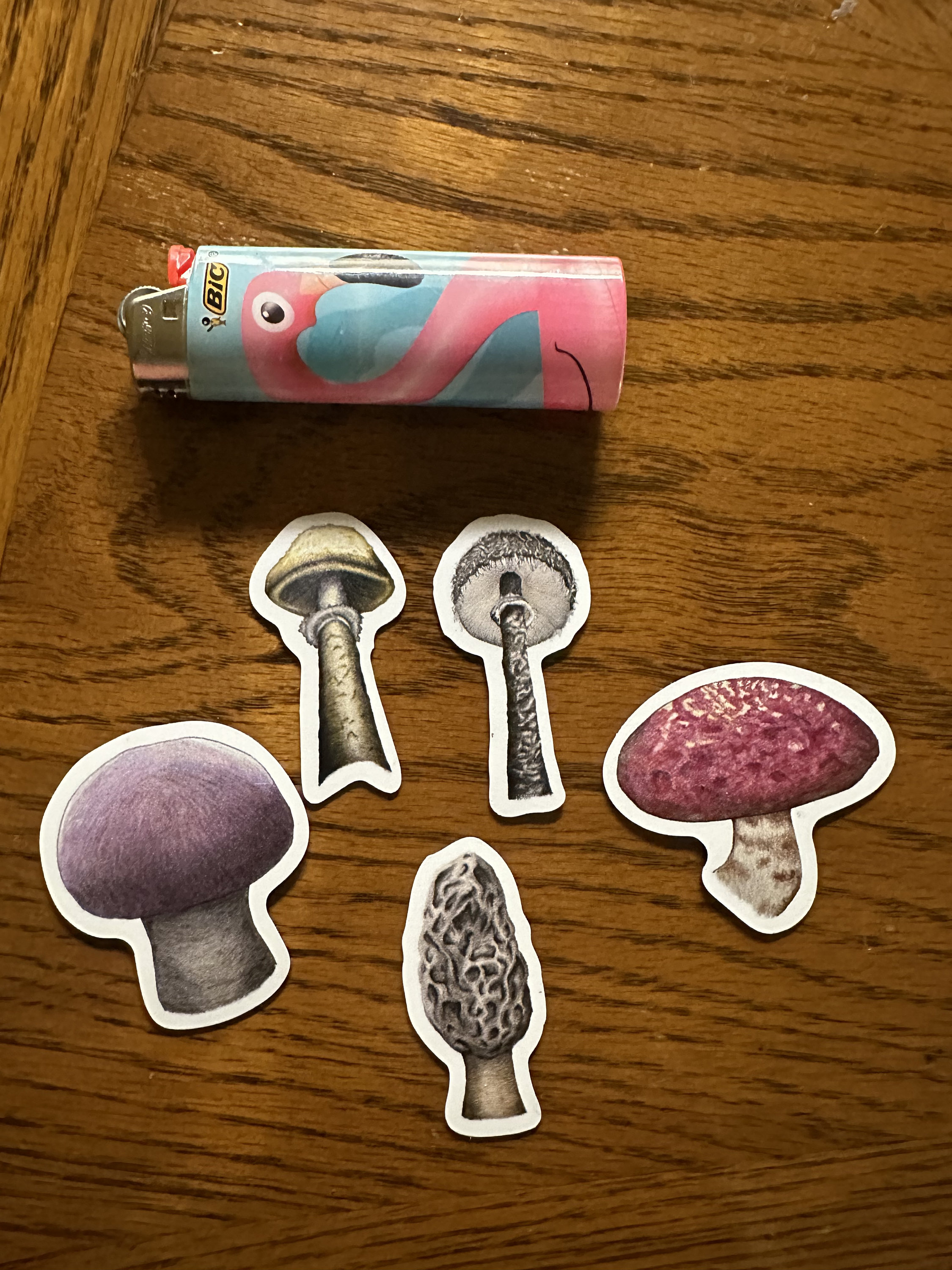 Mushroom Magnets Series 1 - Etsy Australia