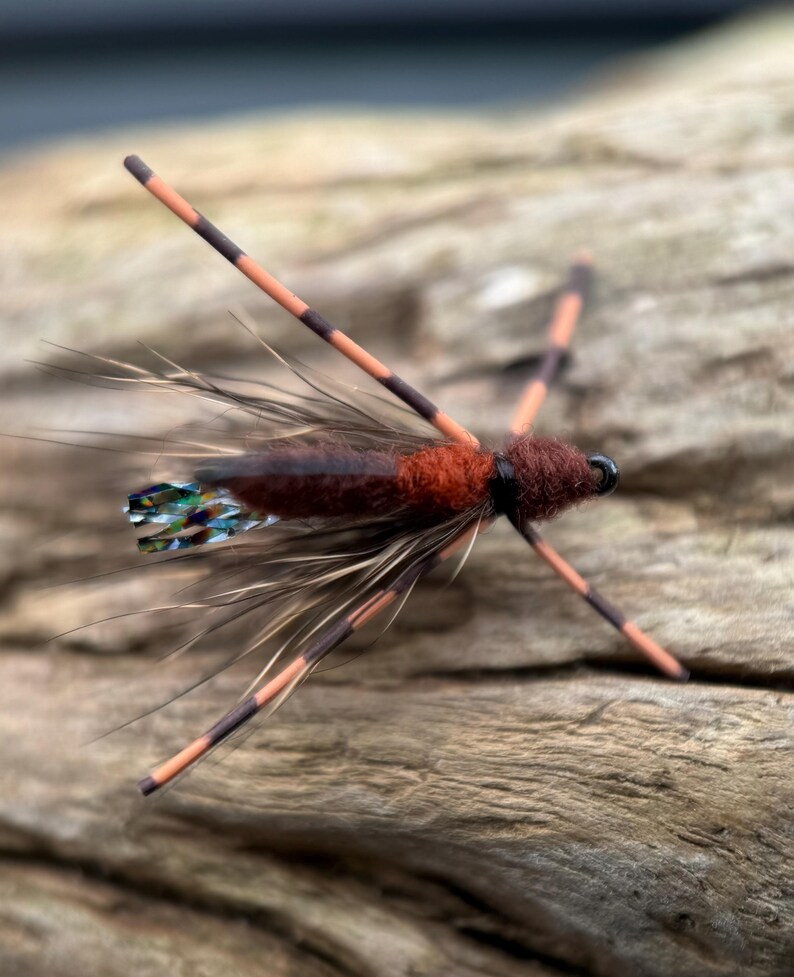 Ant Dry Fly - Etsy