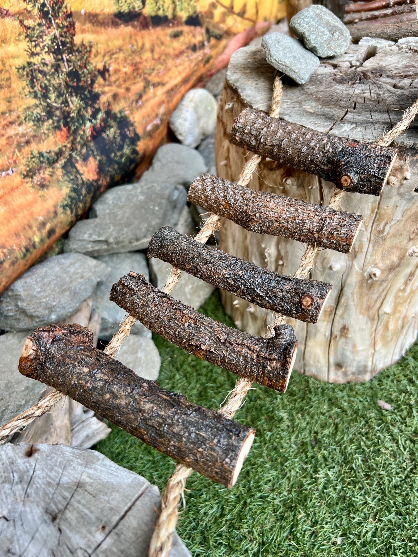 1/24, 1/18 RC Rock Crawler Bridge 1 Foot Rattlesnake Bark Cottonwood ...