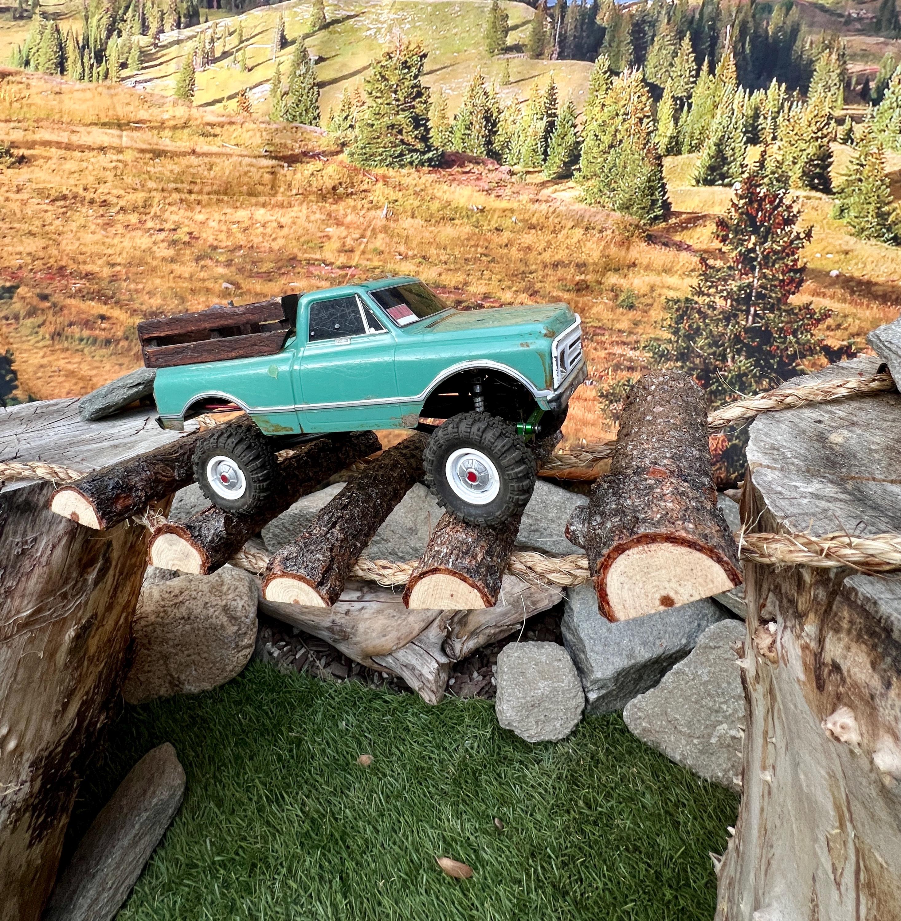 1/24, 1/18 RC Rock Crawler Bridge 1 Foot Rattlesnake Bark Cottonwood ...