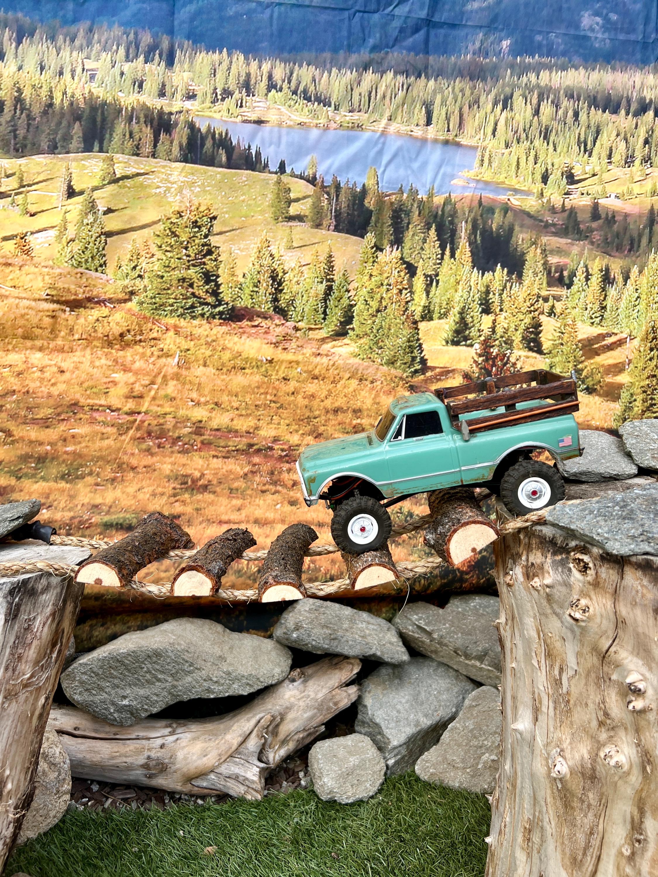 1/24, 1/18 RC Rock Crawler Bridge 1 Foot Rattlesnake Bark Cottonwood ...