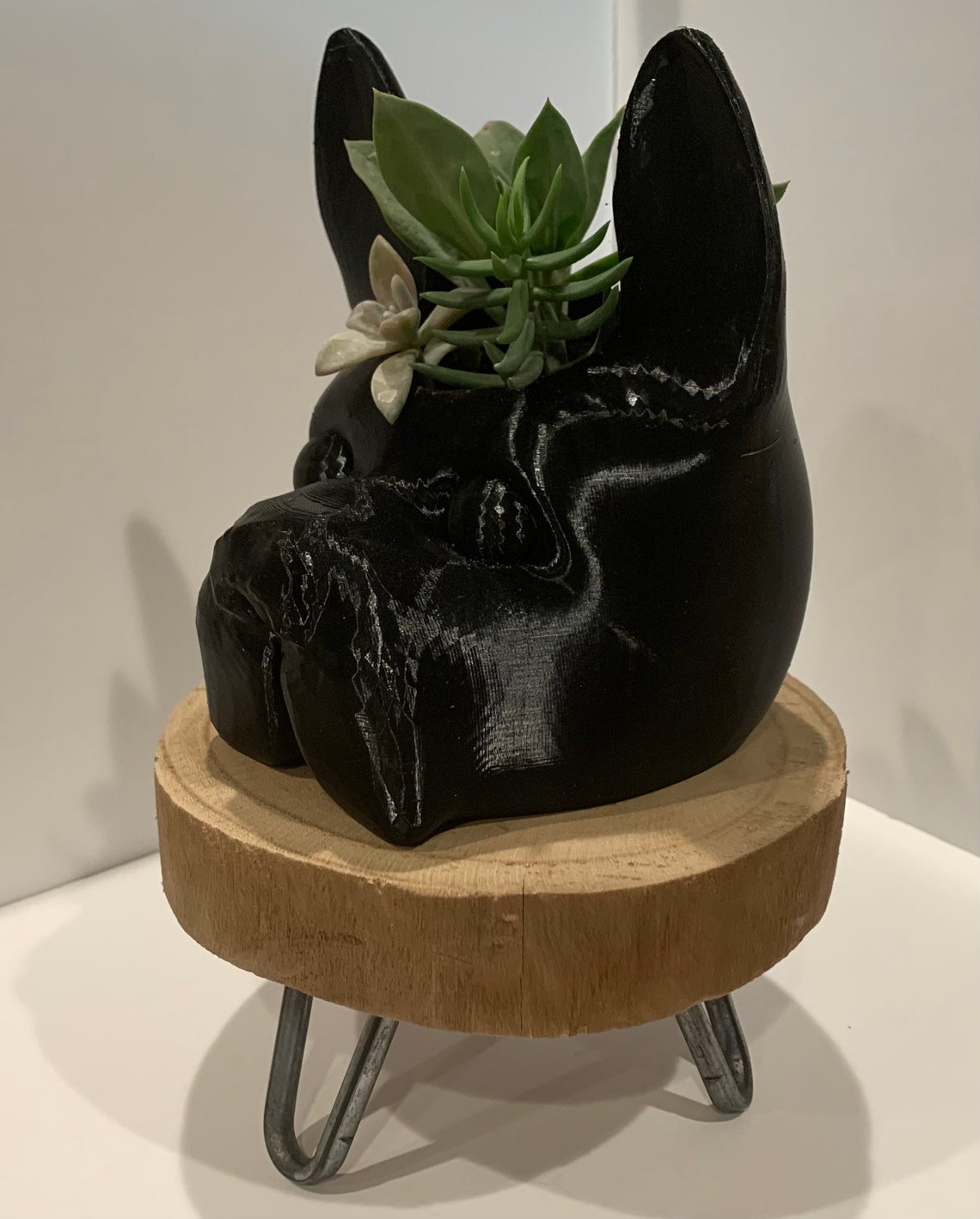 Frenchie Head Pot - Etsy