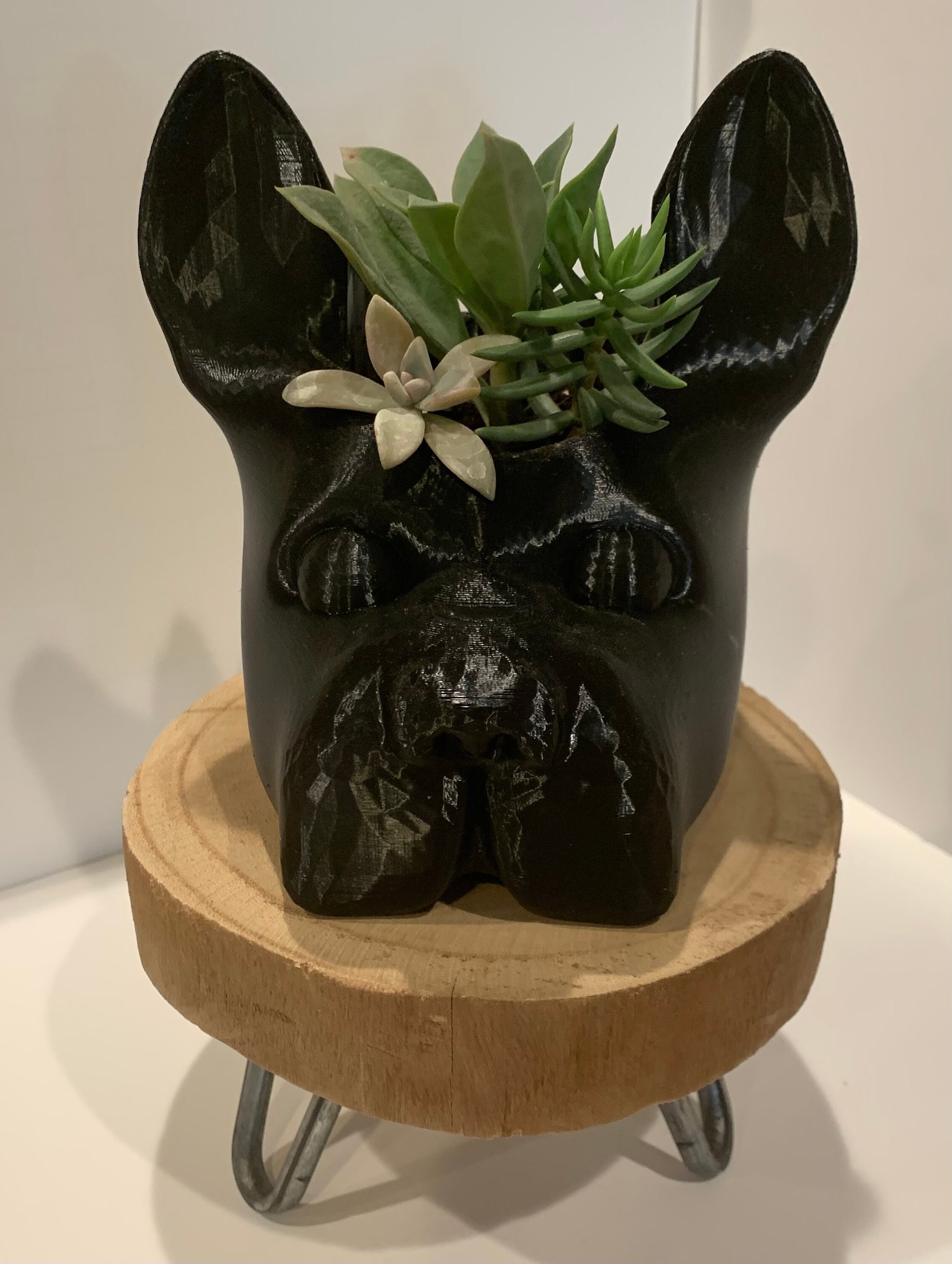 Frenchie Head Pot - Etsy