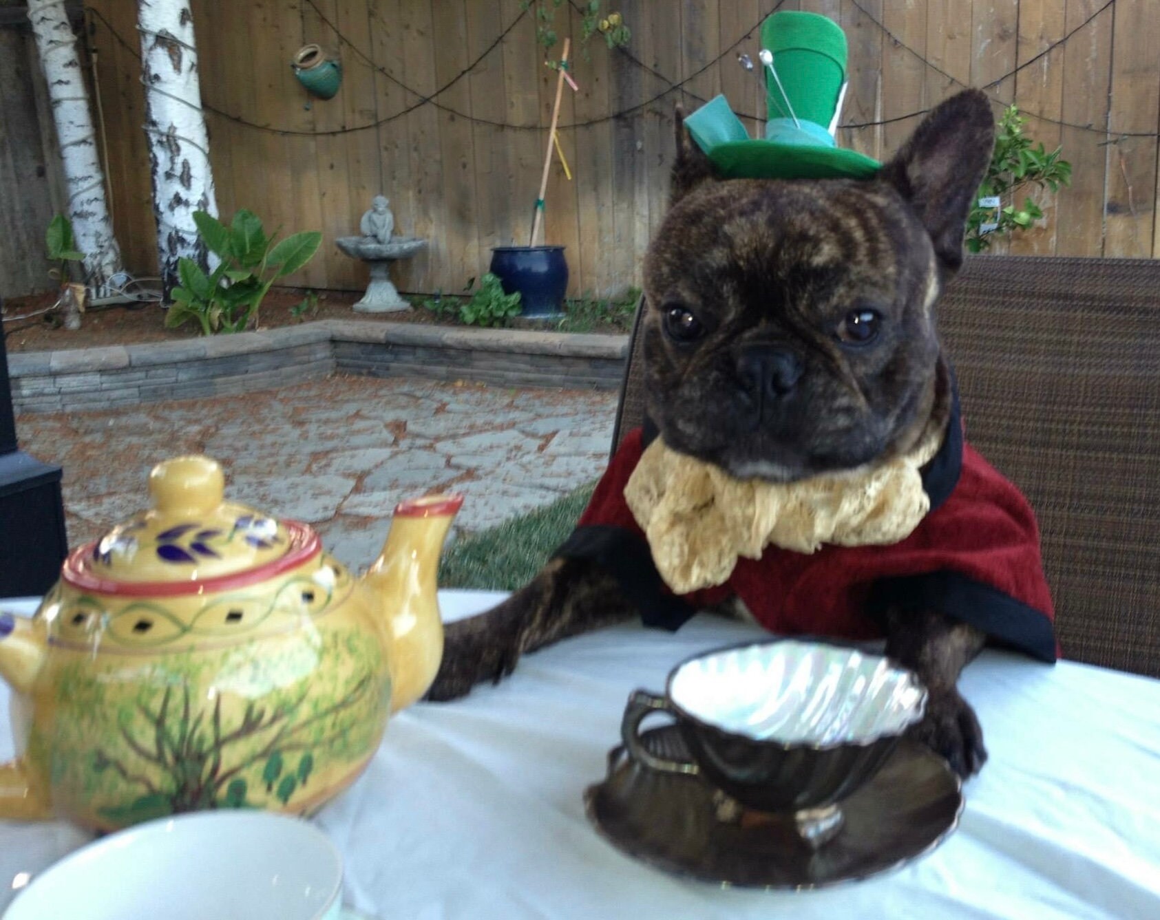 Frenchie Head Pot - Etsy