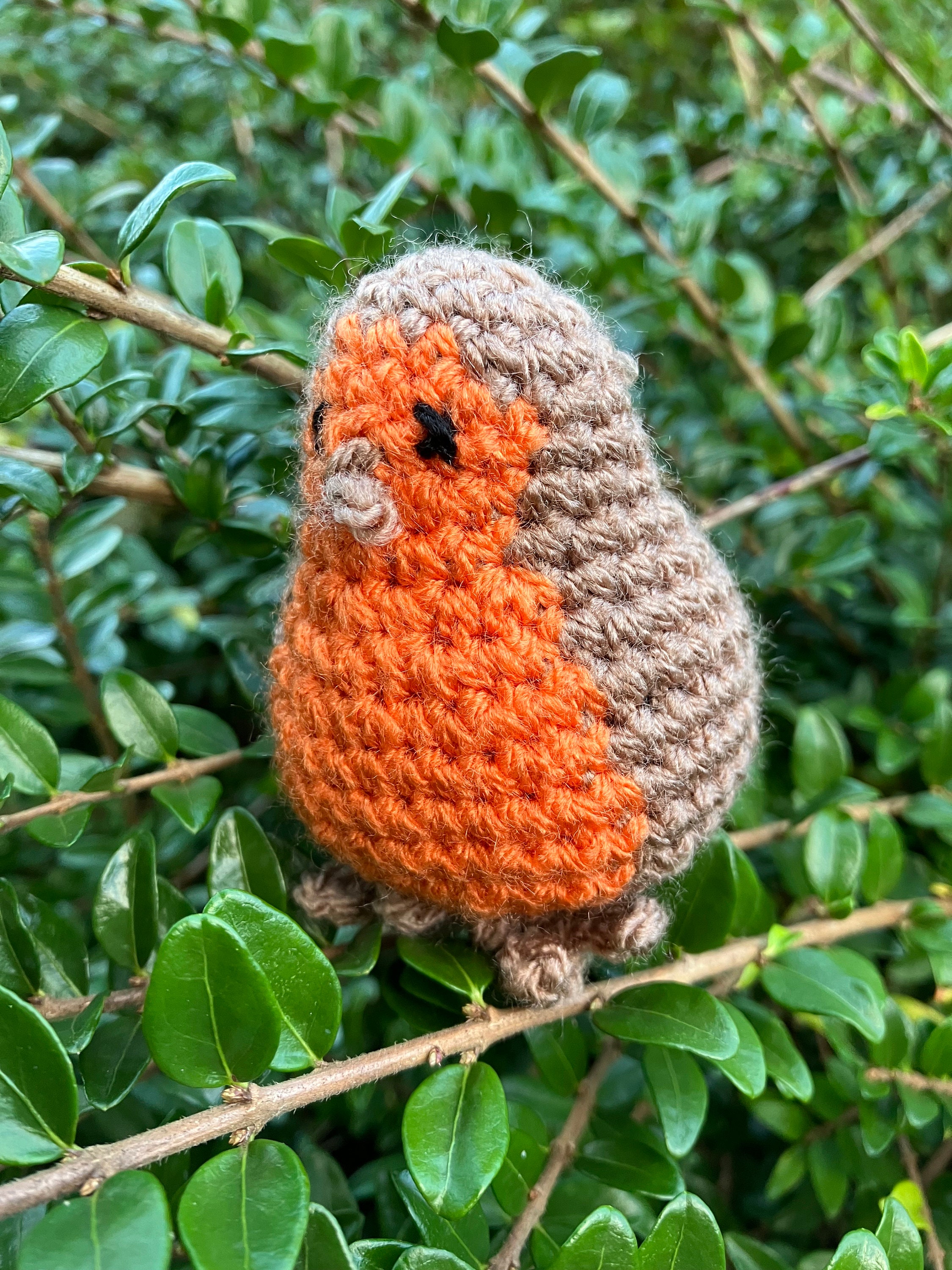 No Sew Robin Crochet Pattern, No Sew Robin Amigurumi Pattern, Easy ...