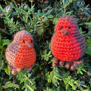 No Sew Robin Crochet Pattern, No Sew Robin Amigurumi Pattern, Easy ...