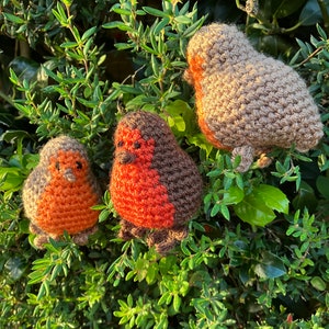 No Sew Robin Crochet Pattern, No Sew Robin Amigurumi Pattern, Easy ...