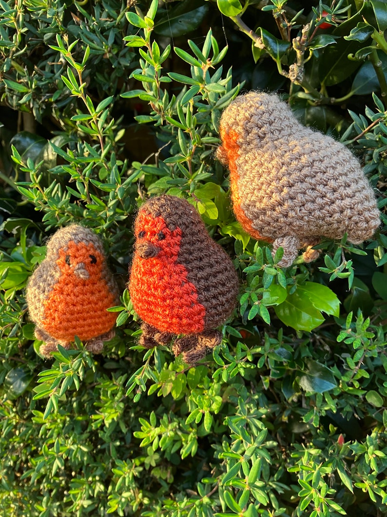 No Sew Robin Crochet Pattern, No Sew Robin Amigurumi Pattern, Easy ...